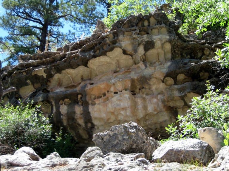 Priest Draw, Flagstaff, Arizona | Camping