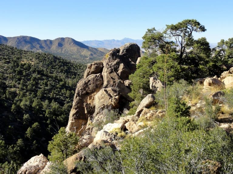 Hualapai Mountains, Kingman, Arizona | Camping