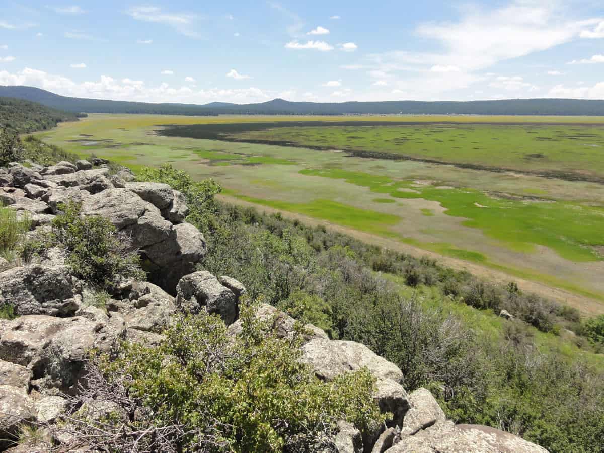 Mormon Lake, Arizona | Camping