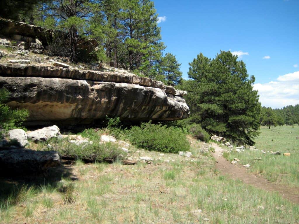 Priest Draw, Flagstaff, Arizona | Camping