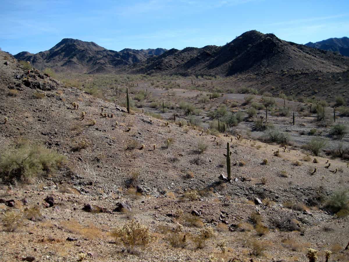 Scaddan Wash, Quartzsite, Arizona | Camping