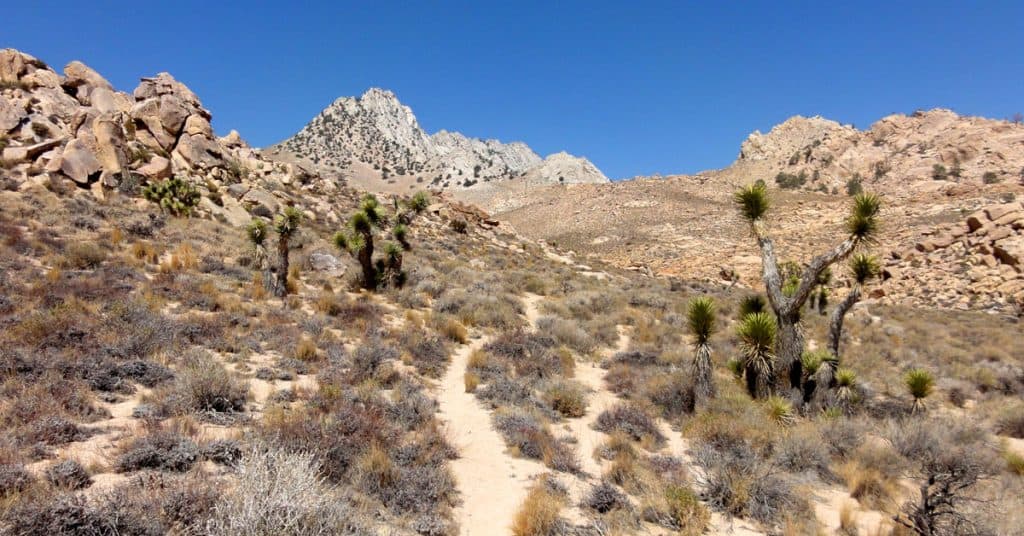 Short Canyon, Owens Peak Wilderness, California | Camping