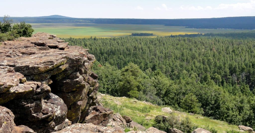 Mormon Lake, Arizona | Camping